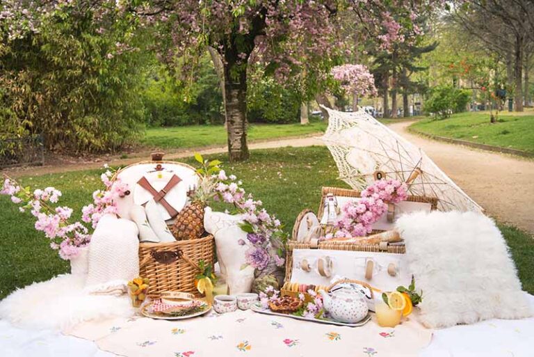 Paris Picnic | France Style Picnic | Parisian Picnic | Romantic Picnic